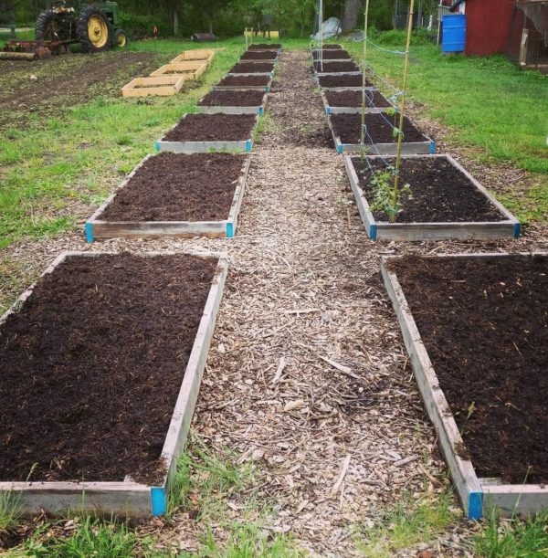 Great Ways To Use Kitchen Scraps - Copper Kettle Farms